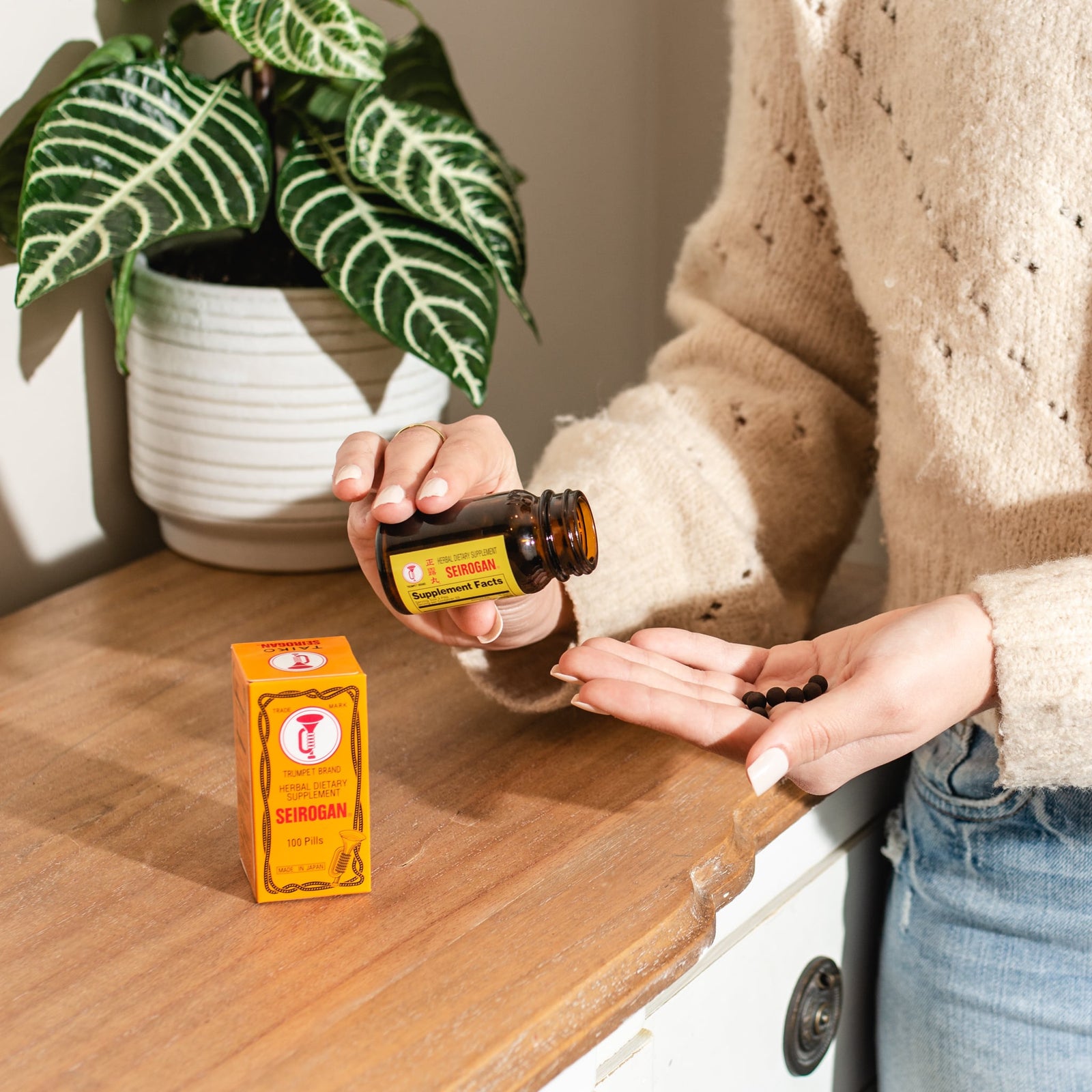 Trumpet Brand Seirogan Herbal Stomach Supplement, 100 pills – Prince of ...